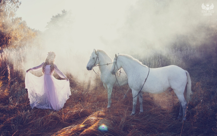 VOORE TALLID | The Estonian Native Horse